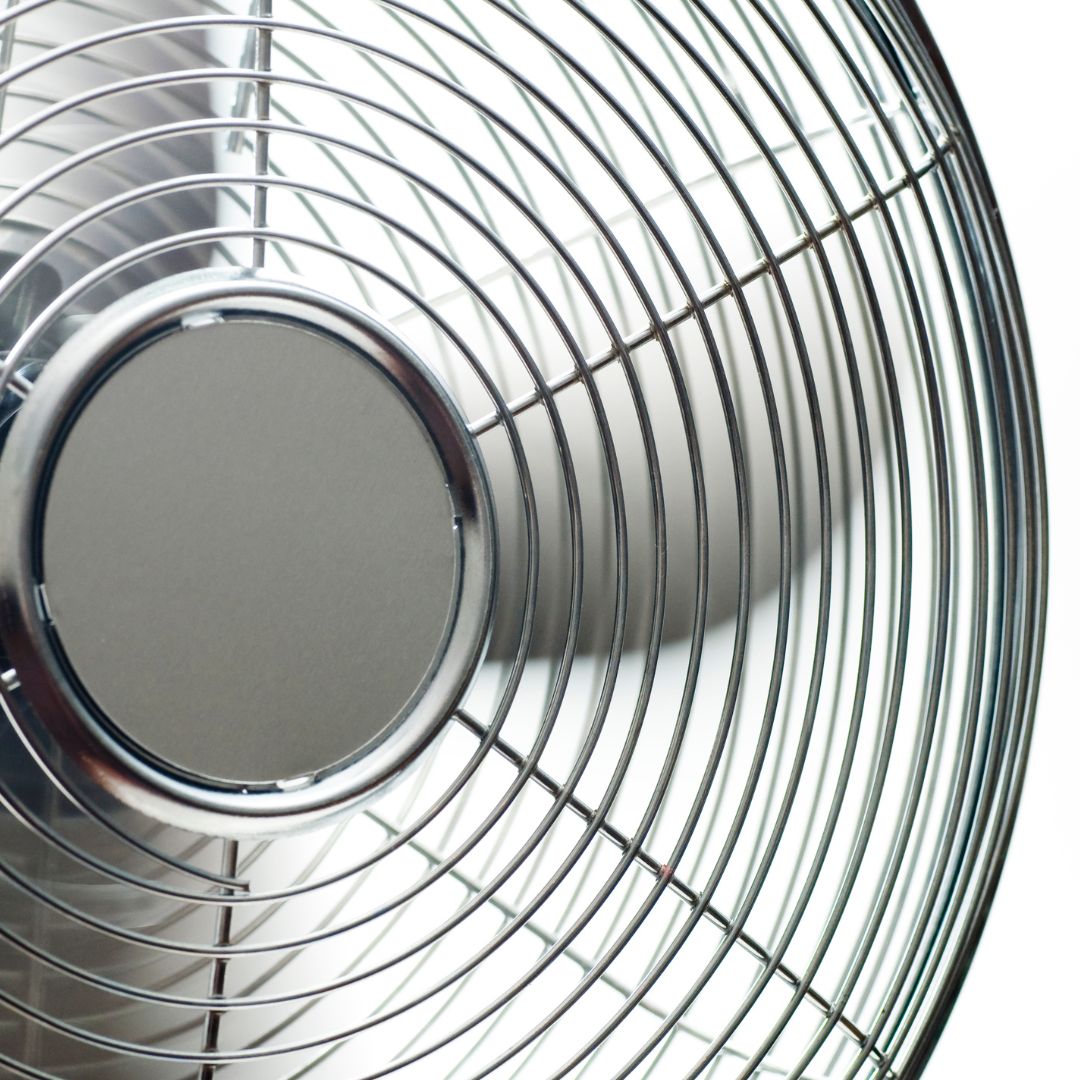 Freskuese Archives ⋆ HOMESHOP